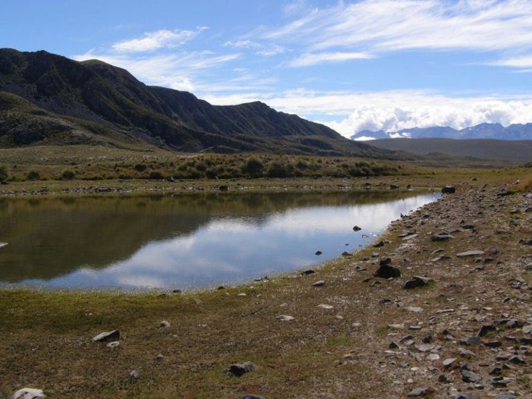 Gallery - National Wetland Trust of New Zealand | Ecosystems
