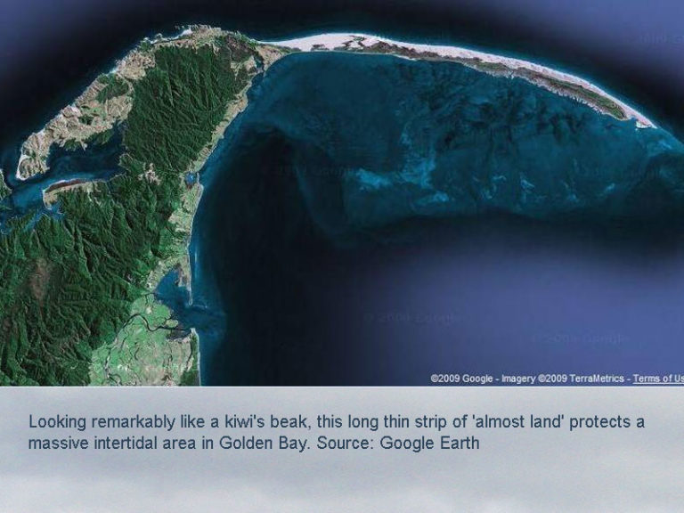 Farewell Spit | Ramsar Convention | National Wetland Trust | Learn More