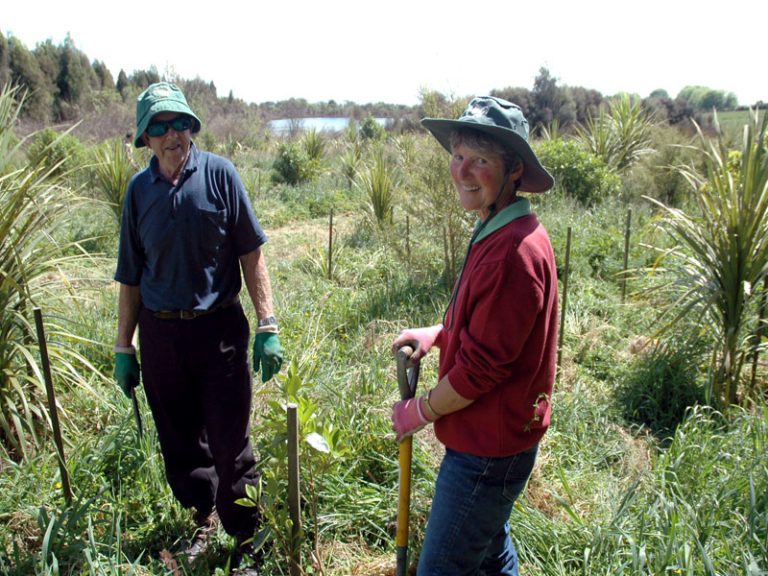 Restore Wetlands - National Wetland Trust of New Zealand