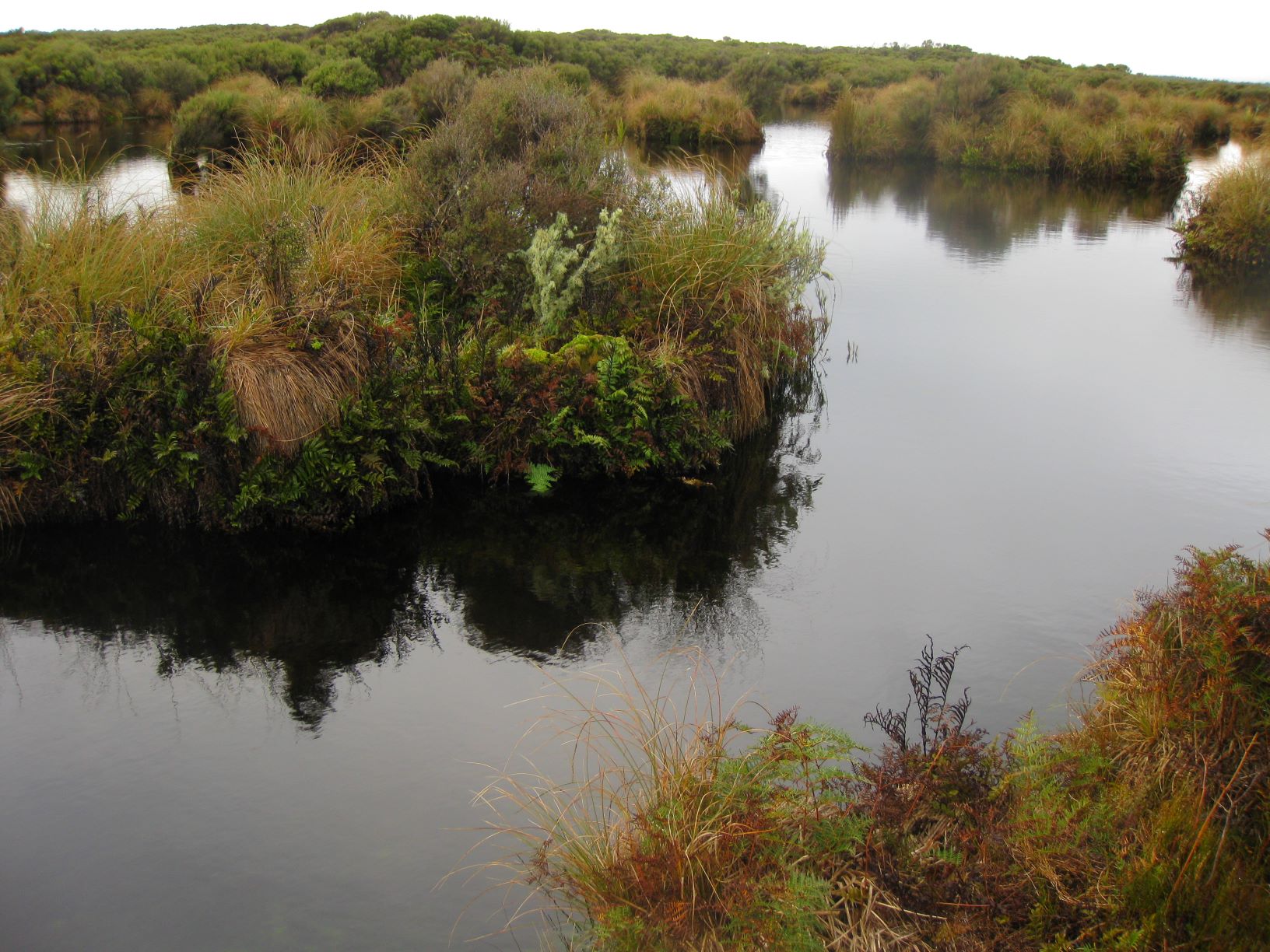 Awarua Waituna Lagoon - National Wetland Trust | Learn More