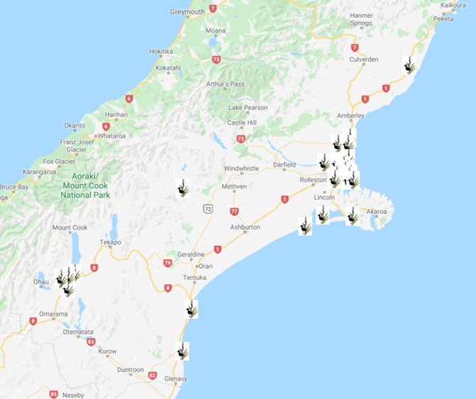 Wetlands you can visit in the Canterbury Region - National Wetland ...