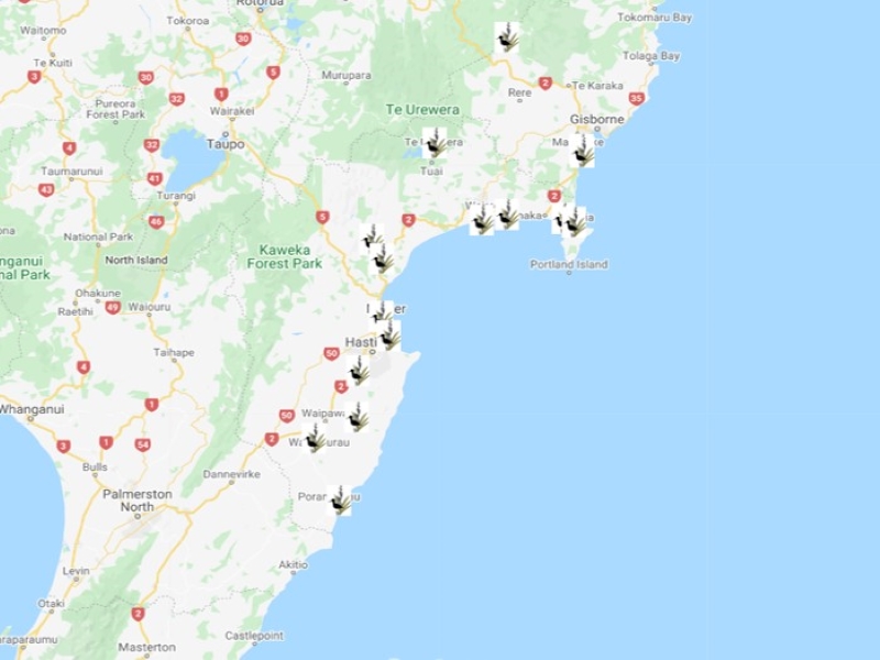 Wetlands to Visit in the Hawkes Bay and Gisborne regions - National ...