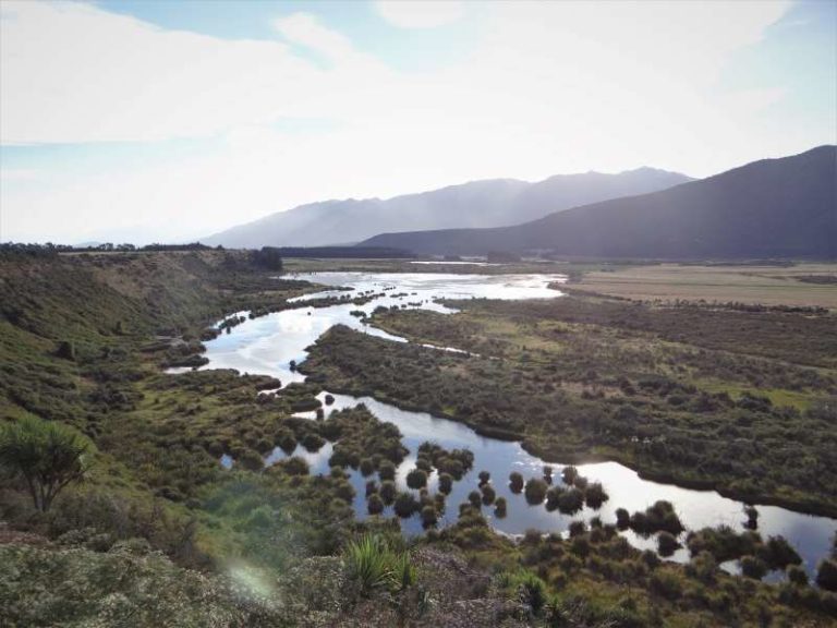 Wetlands you can visit in the Southland Region - National Wetland Trust ...