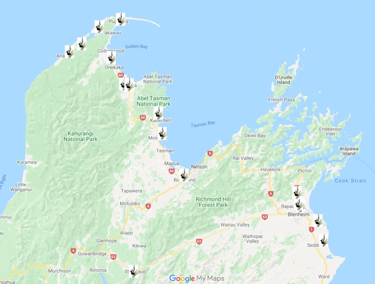 Wetlands you can visit in the Tasman-Marlborough District - National ...