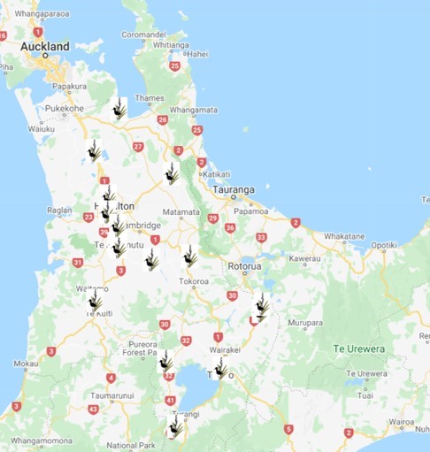 Wetlands you can visit in the Waikato Region - National Wetland Trust ...